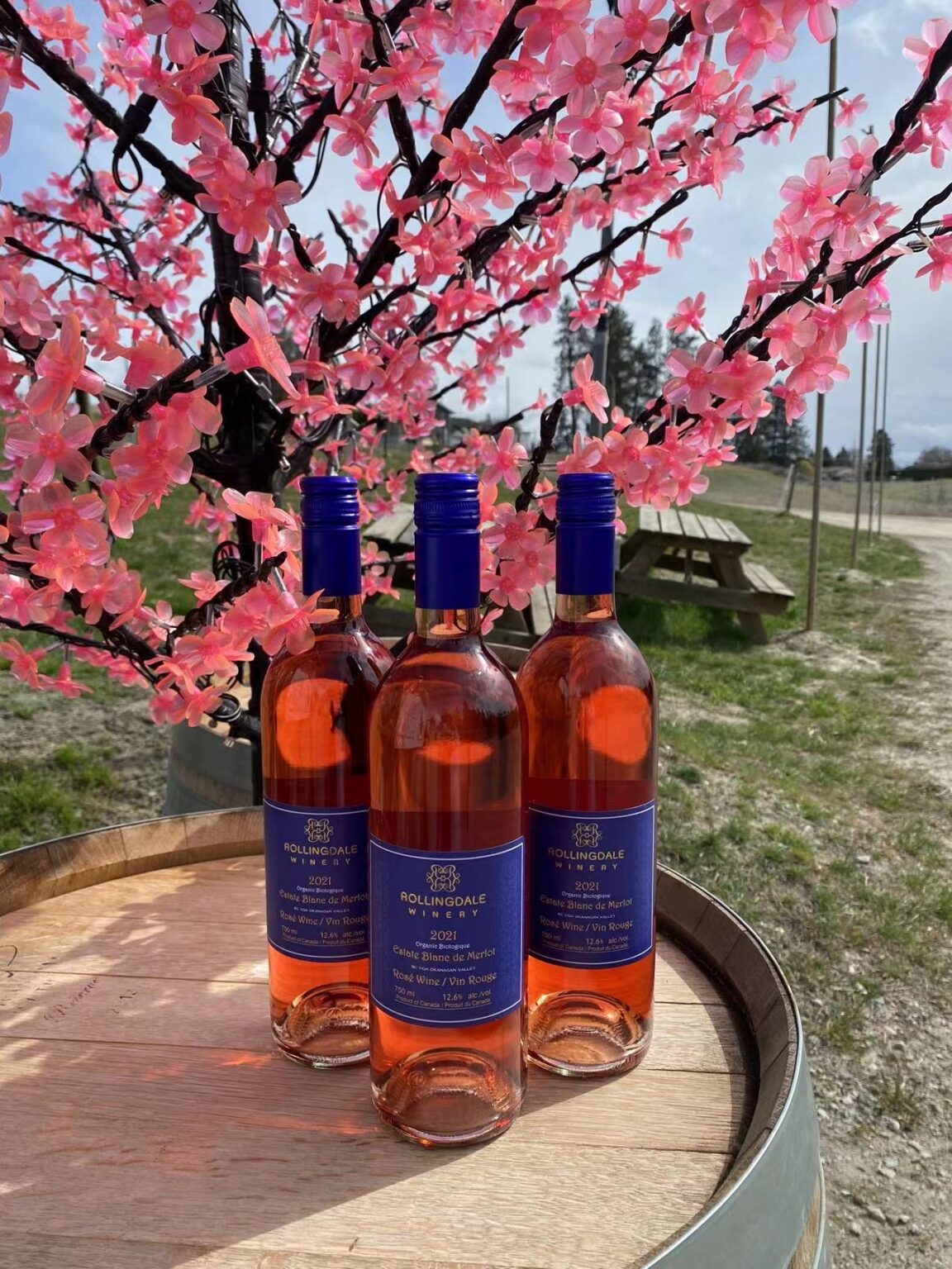 Home - ROLLINGDALE WINERY